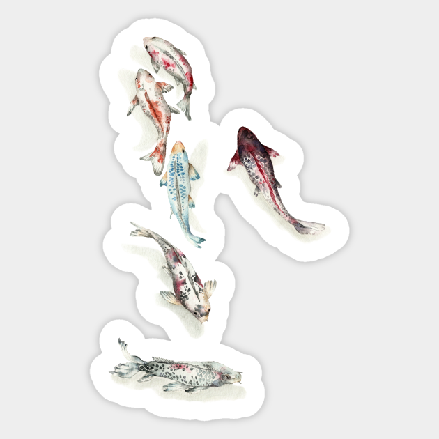 Koi fish - Koi Fish - Sticker | TeePublic