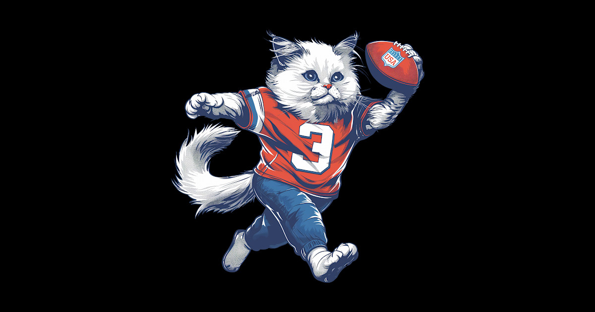 Ragdoll Touchdown American Football - Ragdoll Touchdown American ...