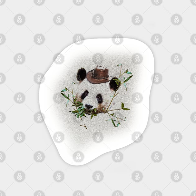 panda animal cowboy cute - Panda Cowboy Animal Cute - Sticker | TeePublic