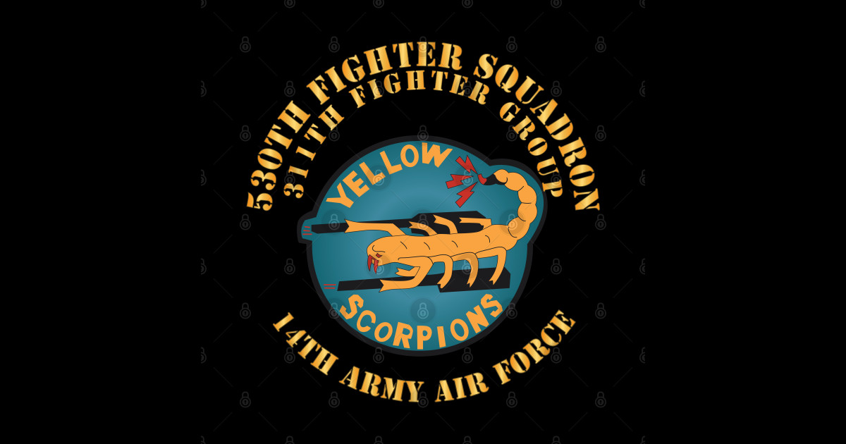 530th Fighter Squadron 311th Fighter Group 14th Army Air Force X 300 ...