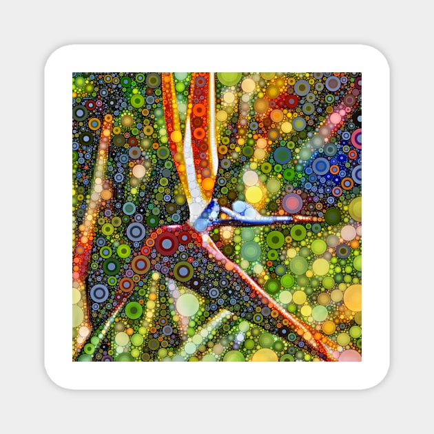 Dotty Bird of Paradise - Bird - Magnet | TeePublic