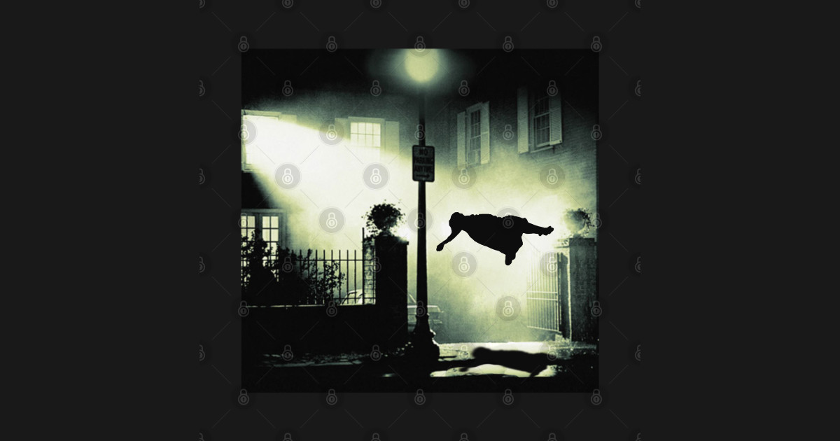 The Exorcist Regan Floating - The Exorcist - T-Shirt | TeePublic