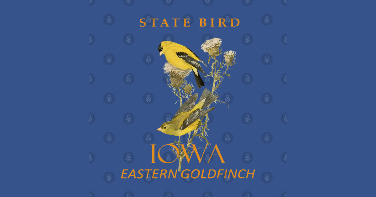 Iowa Territory Eastern Goldfinch Bird - Iowa Bird - T-Shirt | TeePublic