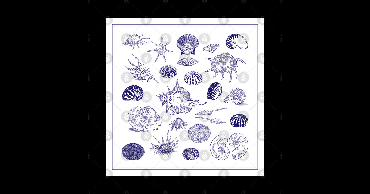 Blue Set of Seashells. Realistic sea life drawings. - Sea Life ...