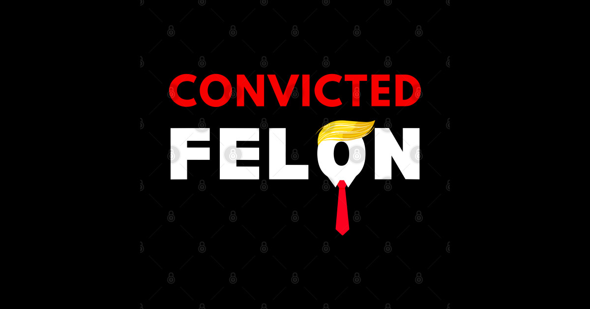 Convicted Felon Donald Trump Guilty Lock Him Up Trump Prison ...