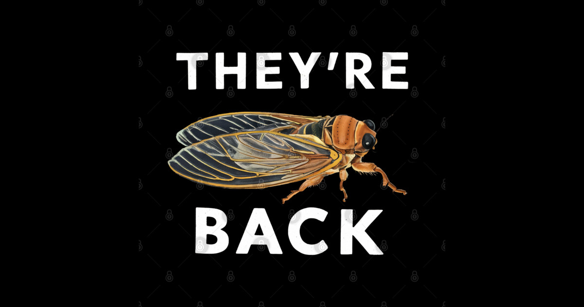 They're Back Cicada Invasion 2024 Cicada Brood Cicada Nymph - Theyre ...