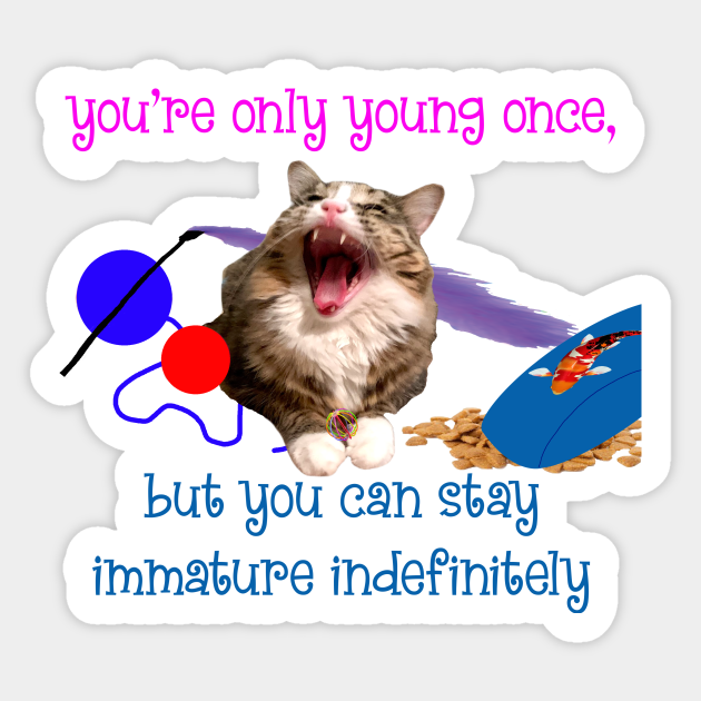 You're Only Young Once, But You Can Stay Immature Indefinitely - Maine ...