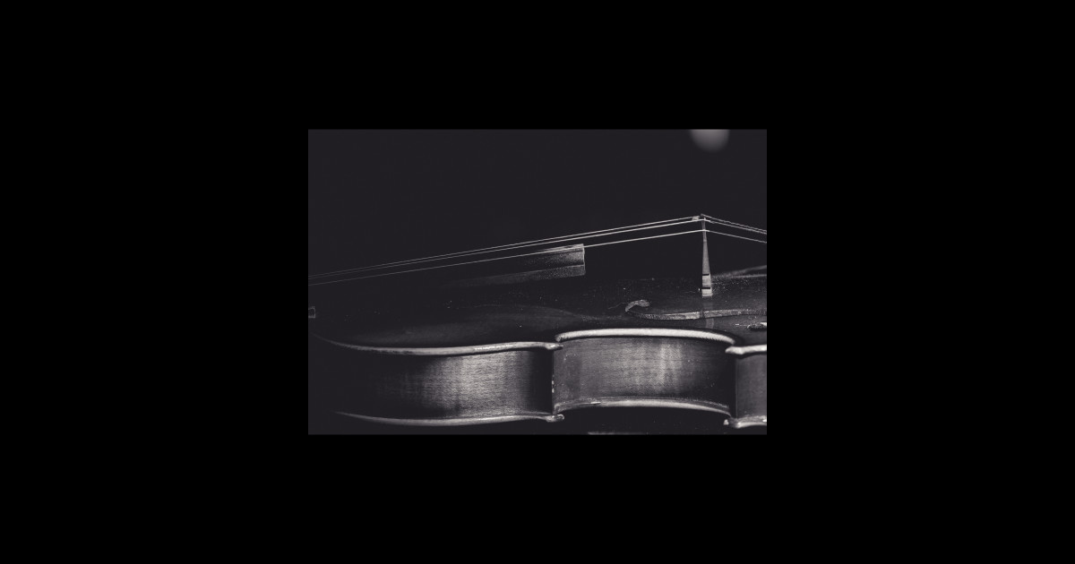 Fiddle on a Shelf - Violin - Sticker | TeePublic