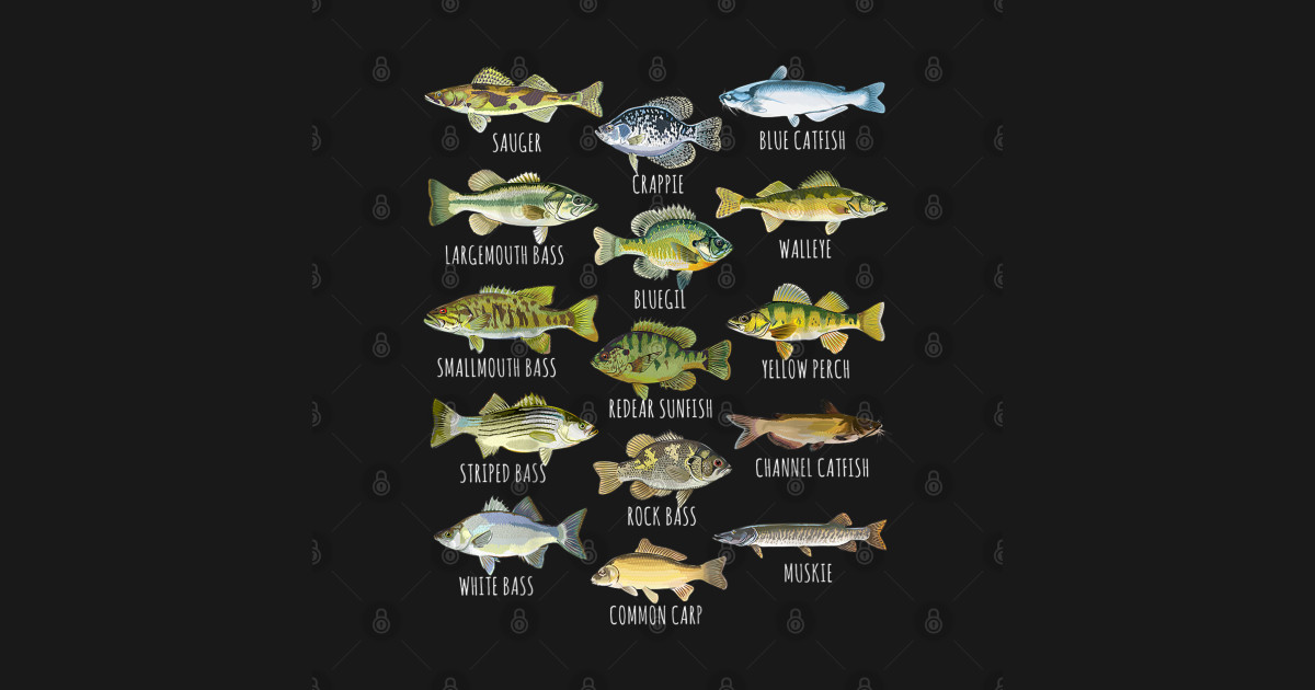 Freshwater Fish Species Chart - Freshwater Fish Chart - T-Shirt | TeePublic