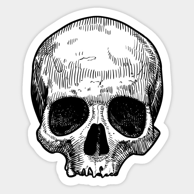 skull looking left drawing