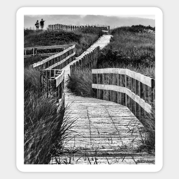 Inverness Boardwalk - Ascent - Sticker | TeePublic