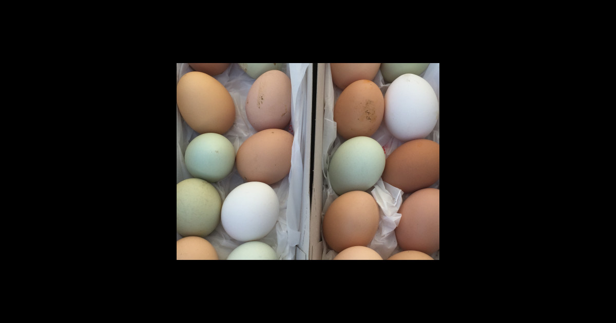 Green Eggs - No Ham 1 - Usa - Sticker | TeePublic