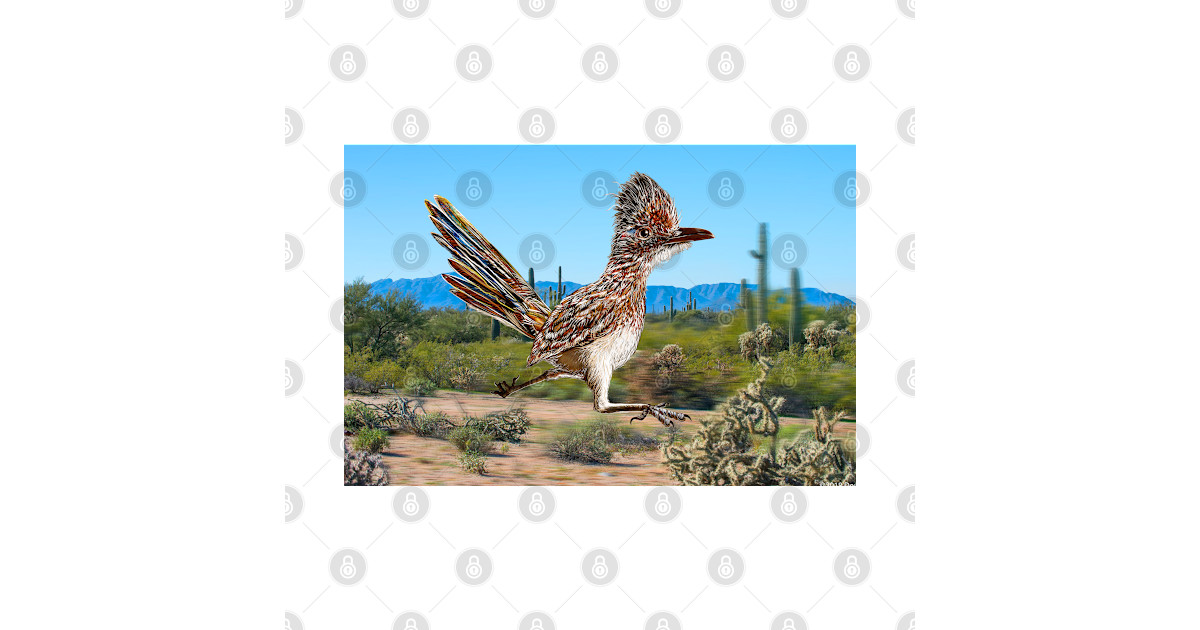 Roadrunner Cactus Road Runner Bird - Roadrunner - T-Shirt | TeePublic