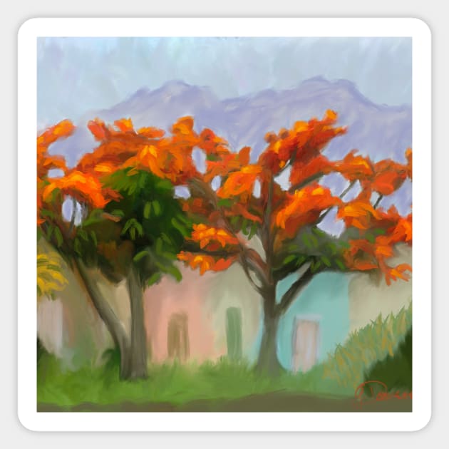 Flamboyan trees with bright red orange blooms - Flamboyan Trees ...