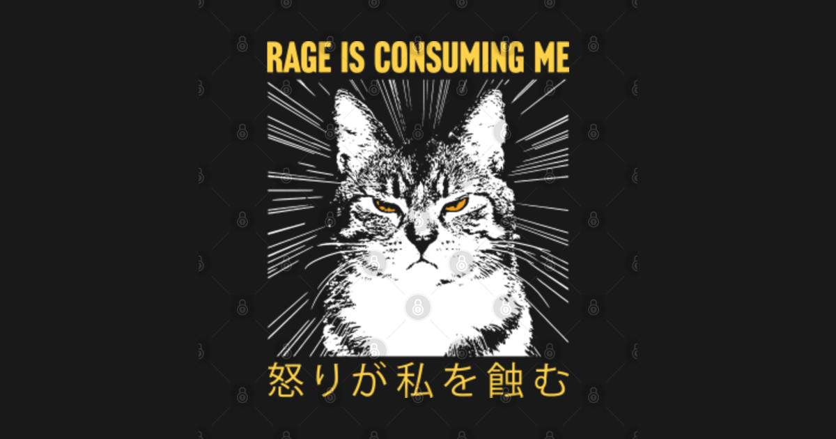 Rage Is Consuming Me Silly Staring Cat Meme - Rage Is Consuming Me - T ...
