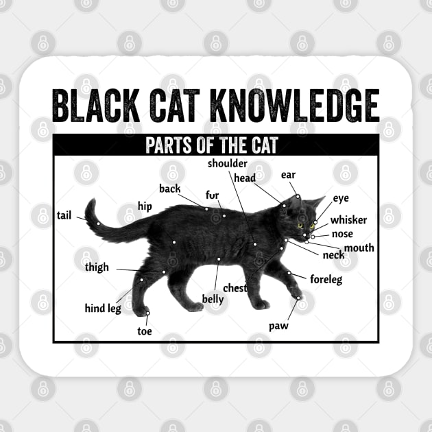 Black Cat Knowledge - Cat - Sticker | TeePublic