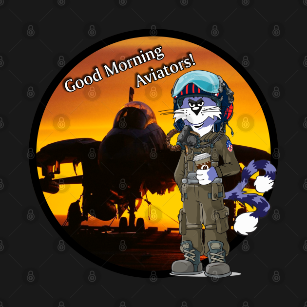 F-14 Tomcat - Good Morning Aviators - F14 Tomcat Fighter Jet - T-Shirt ...
