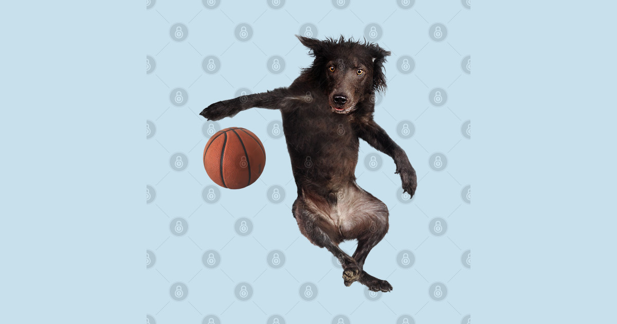 Dog Meme: Dog playing basketball - Dog Meme - T-Shirt | TeePublic