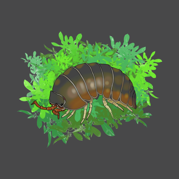 Roly Poly - Insect - T-Shirt | TeePublic
