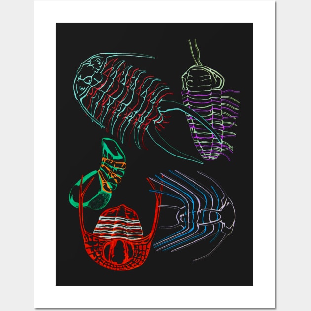 Ordovician Era Trilobites 2 - Trilobite Fossils - Posters and Art ...