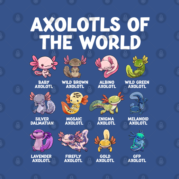 Axolotls Of The World Kawaii Types Of Axolotl Fish Amphibian - Axolotls ...