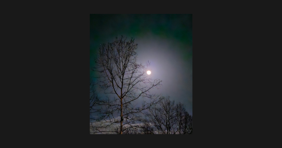 Midnight Moon - Moonlight - T-Shirt | TeePublic