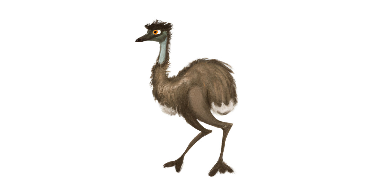Cute Emu Drawing - Emu - T-Shirt | TeePublic