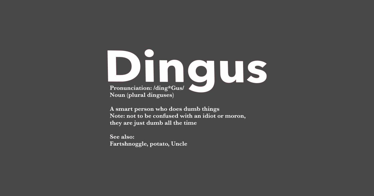 Dingus - Dingus - T-Shirt | TeePublic