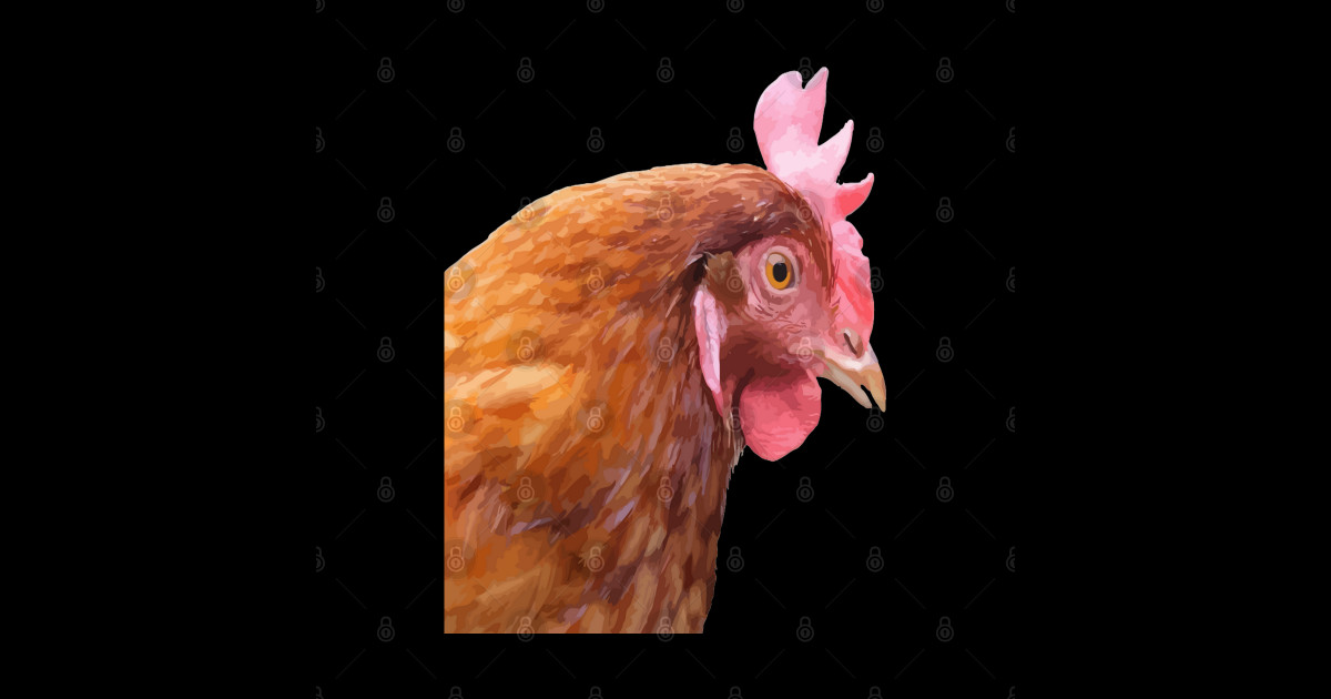 Funny Side View Of A Farmyard Hen - Farm Animals - Sticker | TeePublic