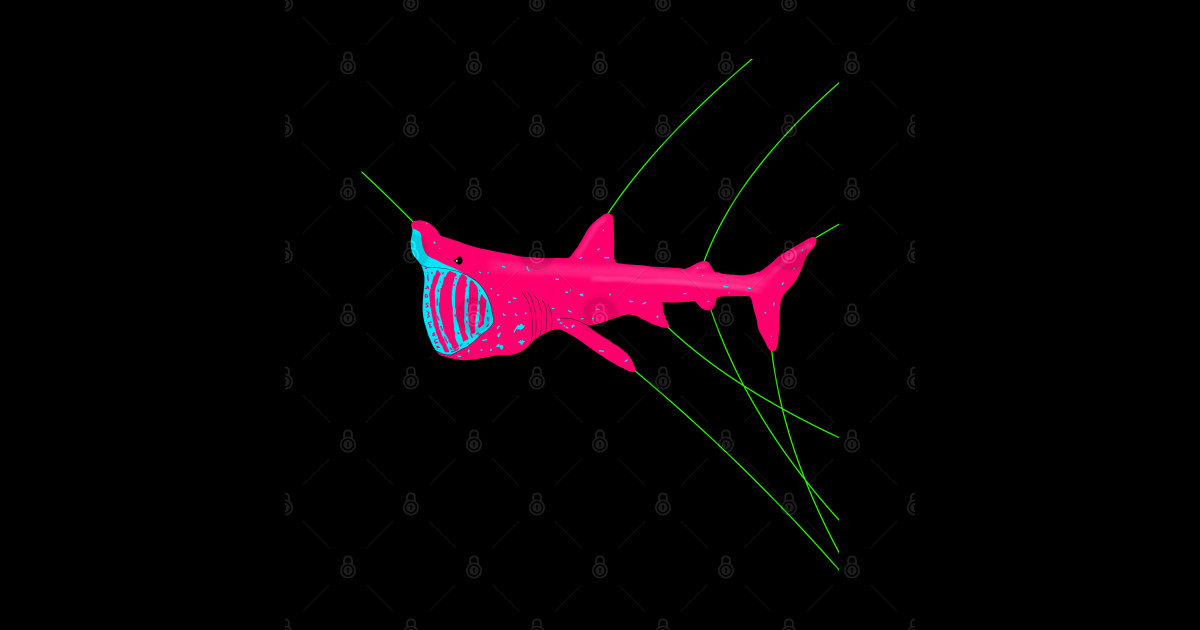 Basking shark Cetorhinus maximus - Basking Shark - Sticker | TeePublic