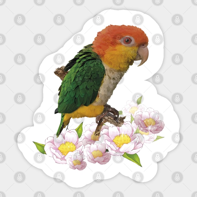 White-bellied Parrot - Parrots - Sticker | TeePublic