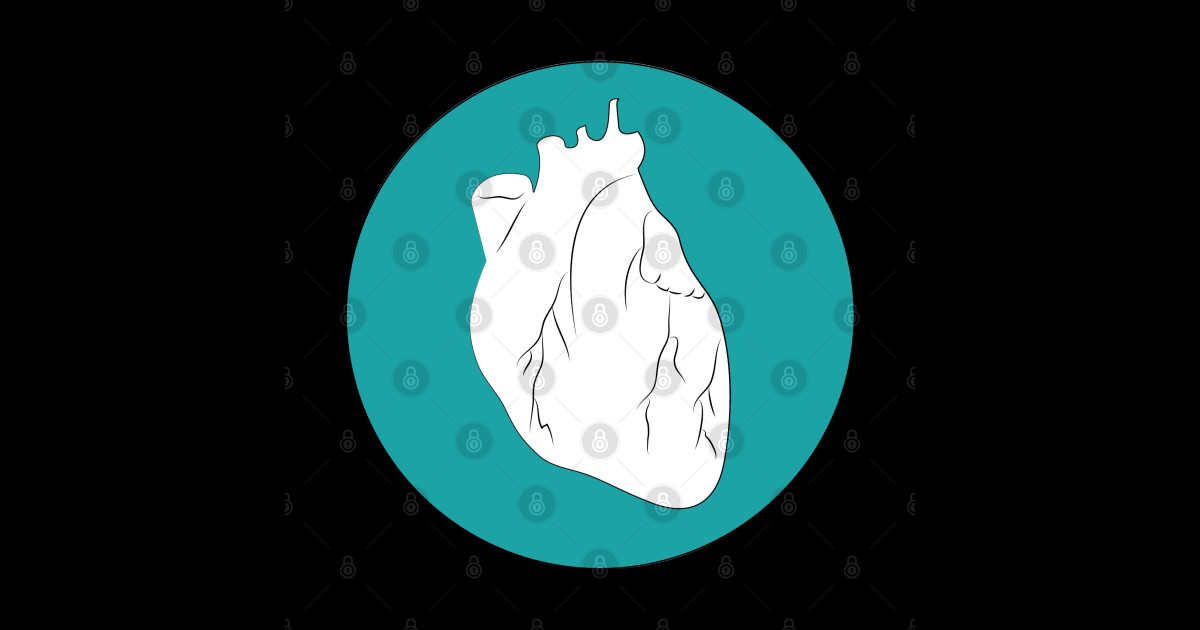 Anatomically Correct Heart Icon - Anatomical Heart - Sticker | TeePublic
