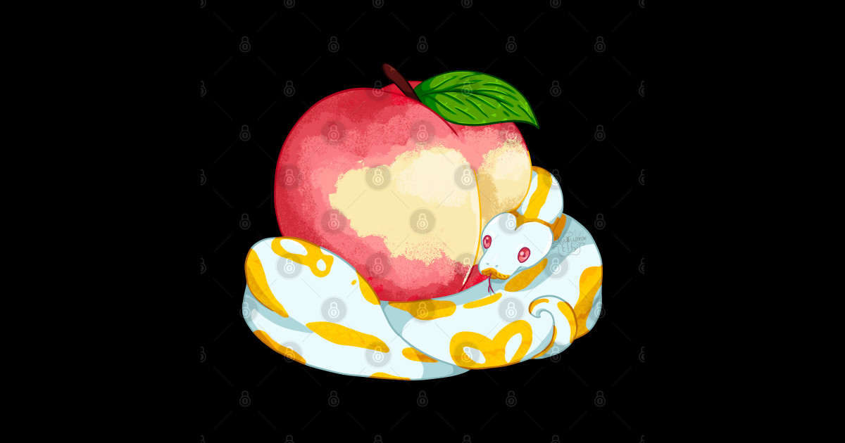 Ball python - Ball Python - Posters and Art Prints | TeePublic