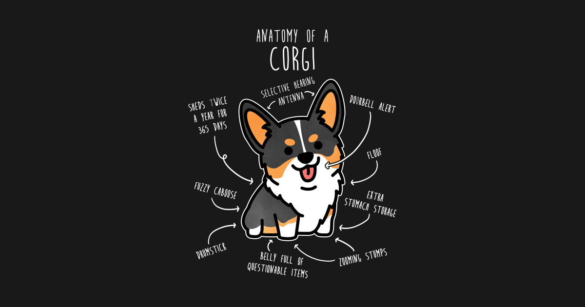 Tricolor Corgi Dog Anatomy - Corgi - T-Shirt | TeePublic