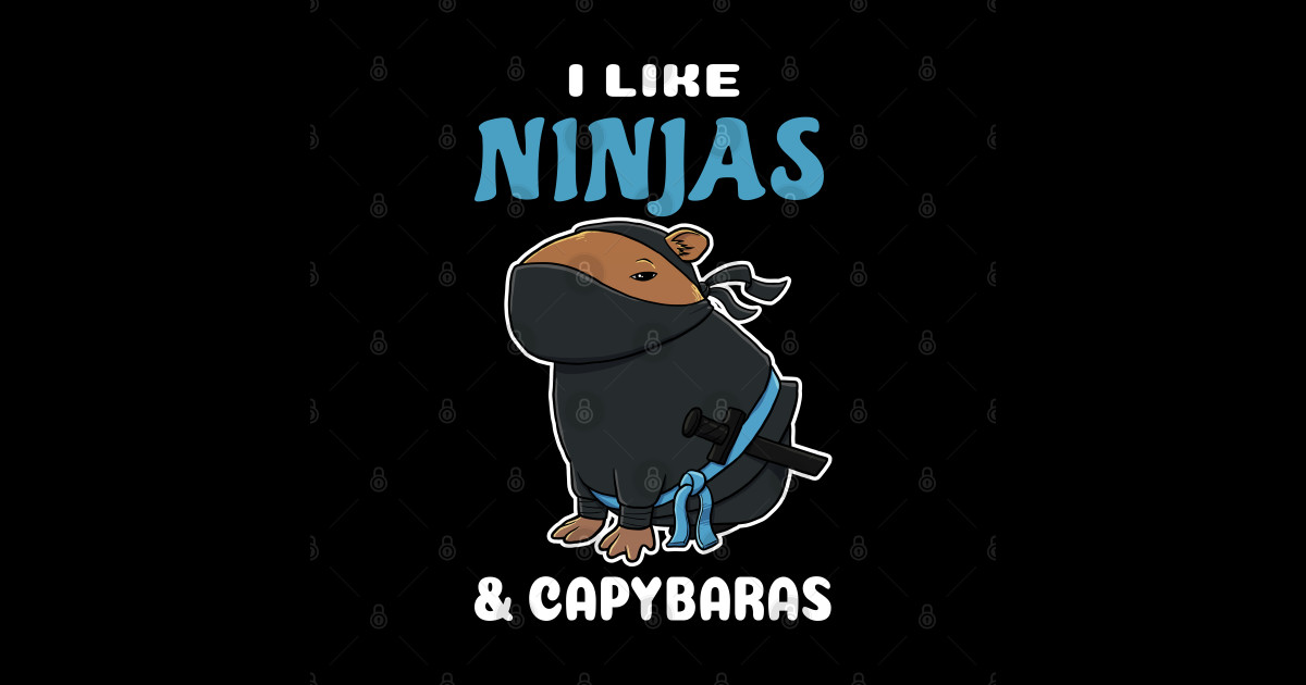 I Like Ninjas and Capybaras Cartoon - Funny Capybara - T-Shirt | TeePublic