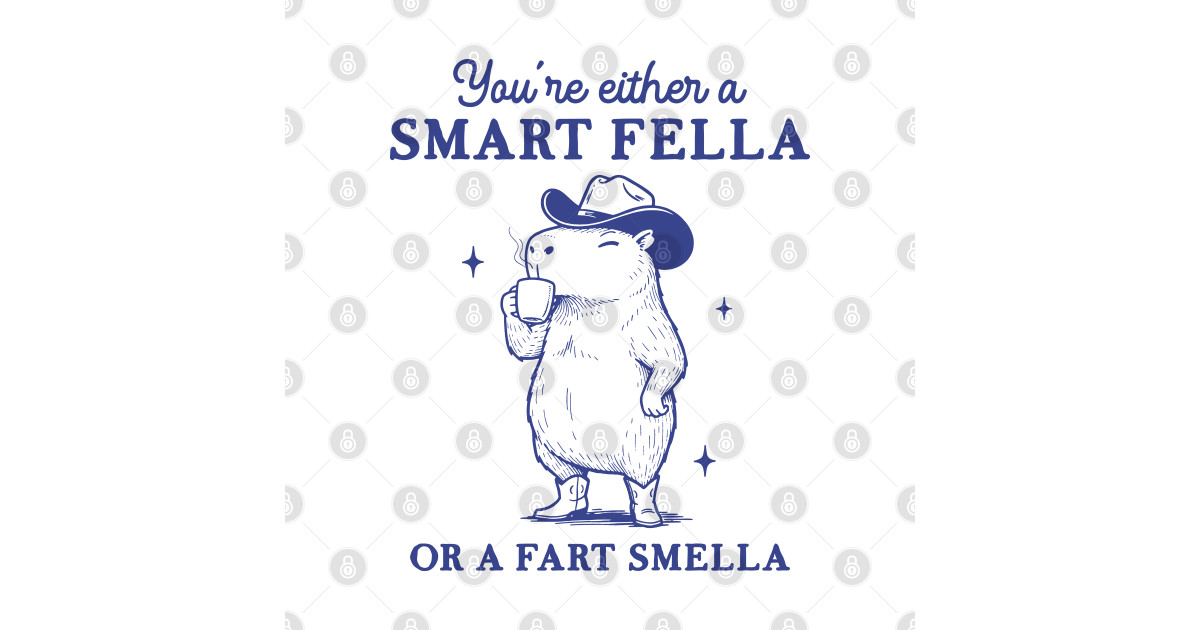 You're either a smart fella or a fart smella - Funny Quote - T-Shirt ...