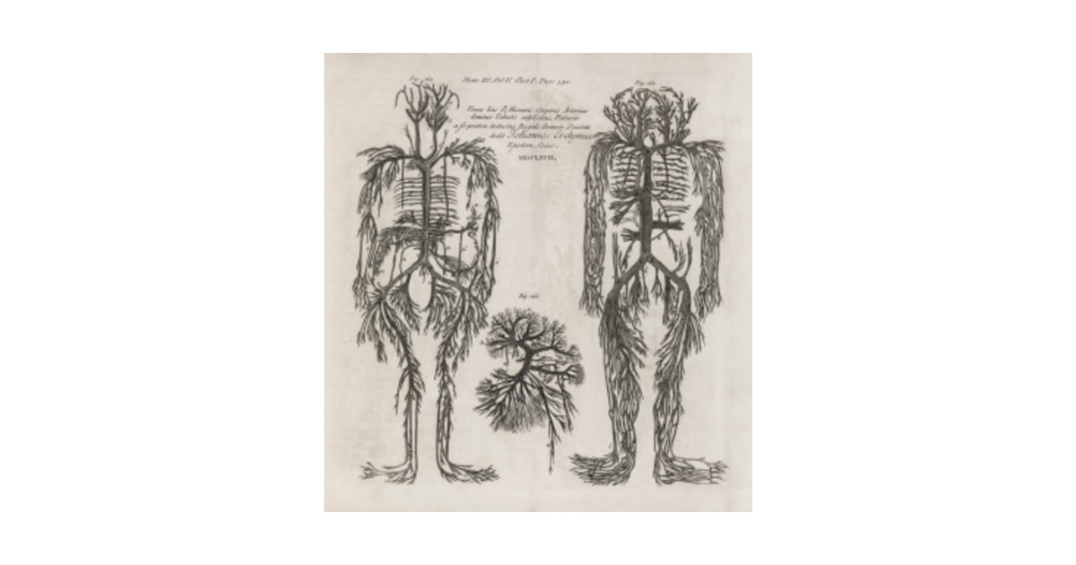Evelyn table blood vessels, 17th century; C011/1946 - Science Lover - T-Shirt | TeePublic