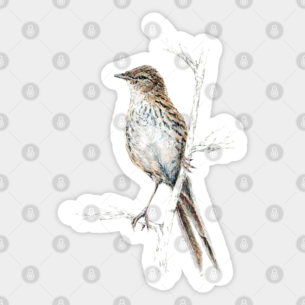 Mr Matata, New Zealand Fernbird - Fernbird - Sticker | TeePublic