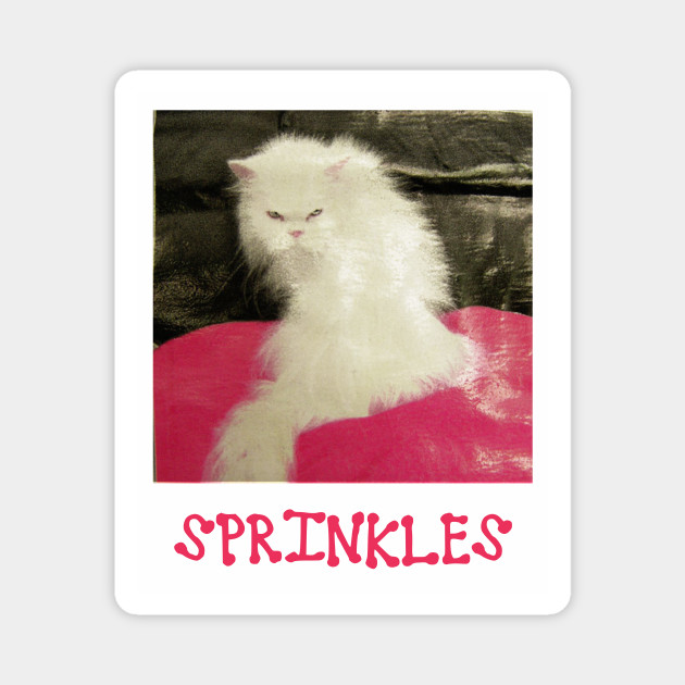 Sprinkles the Cat - The Office - Magnet | TeePublic
