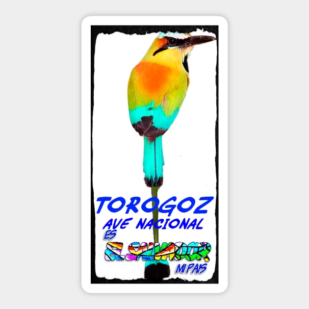 Torogoz national bird of El Salvador - The Savior - Sticker | TeePublic