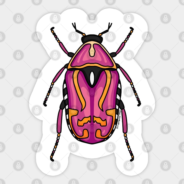 Lesbian Flag Beetle - Lesbian Pride - Sticker | TeePublic