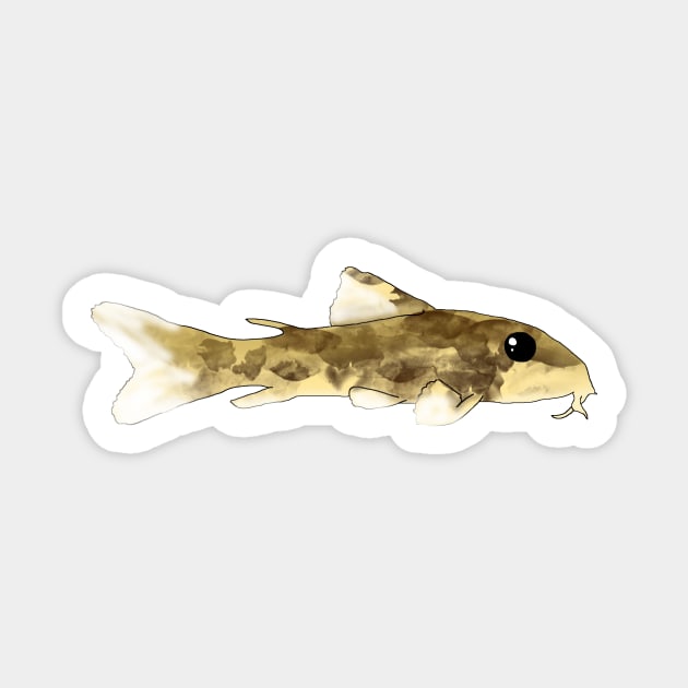 Bearded Cory Catfish - Bearded - Sticker | TeePublic