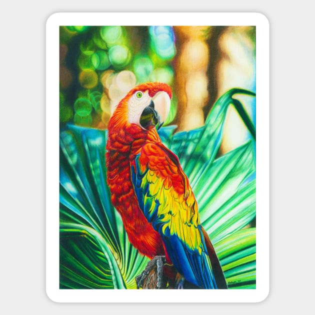 Scarlet Macaw Parrot - Exotic Bird - Sticker | TeePublic