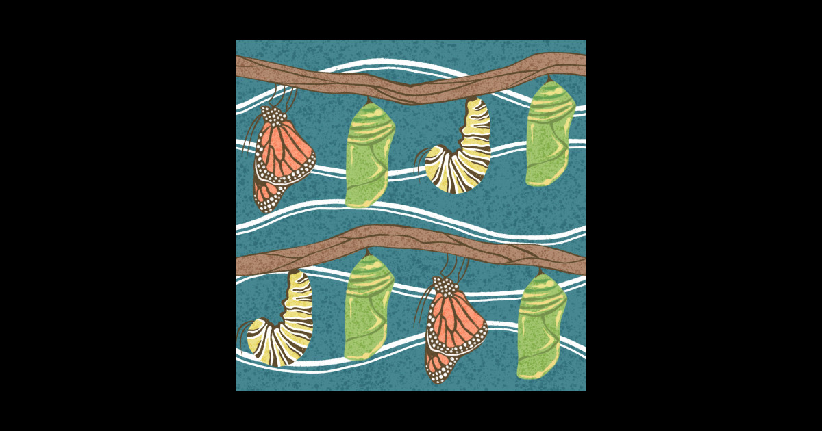 Butterfly metamorphosis pattern - Butterfly - Sticker | TeePublic