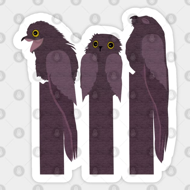 Potoo Bird Range - Potoo - Sticker | TeePublic