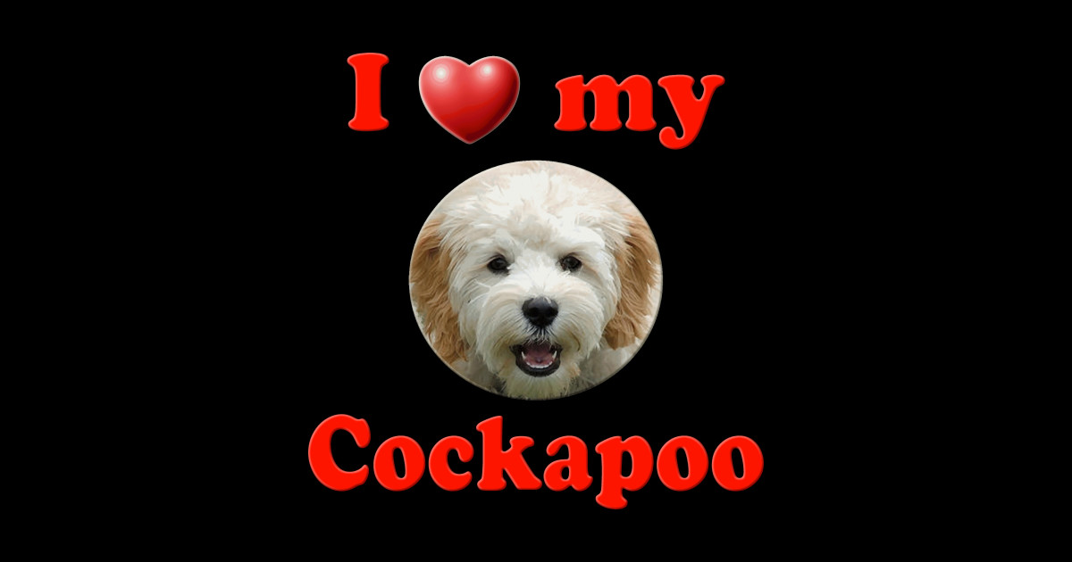 I Love My Cockapoo - Cockapoos - Sticker | TeePublic