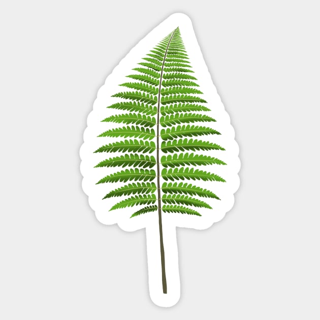 Fern leave illustration - Fern - Sticker | TeePublic