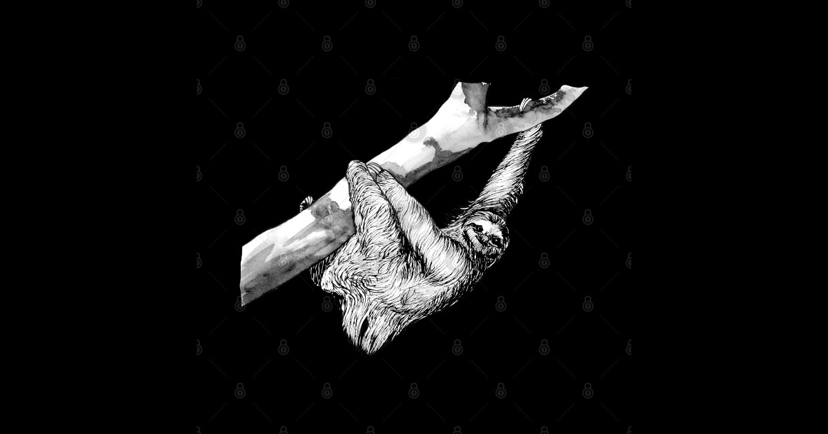Ink Drawing of Sloth - Sloth - Sticker | TeePublic