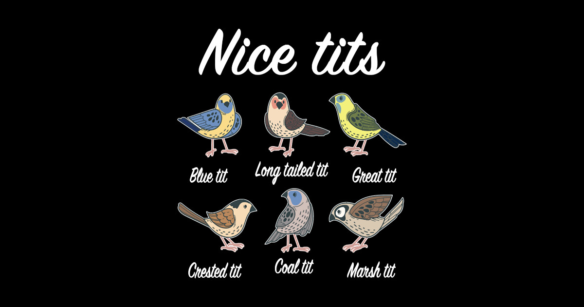 Nice Tits Titmouse Bird Watcher Bird Lover Nice Tits Titmouse Bird Watcher Bird Lo Sticker