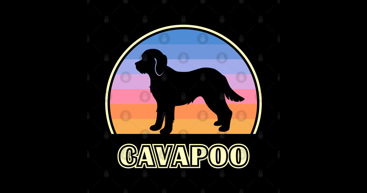 Cavapoo Vintage Sunset Dog - Cavapoo - Sticker | TeePublic